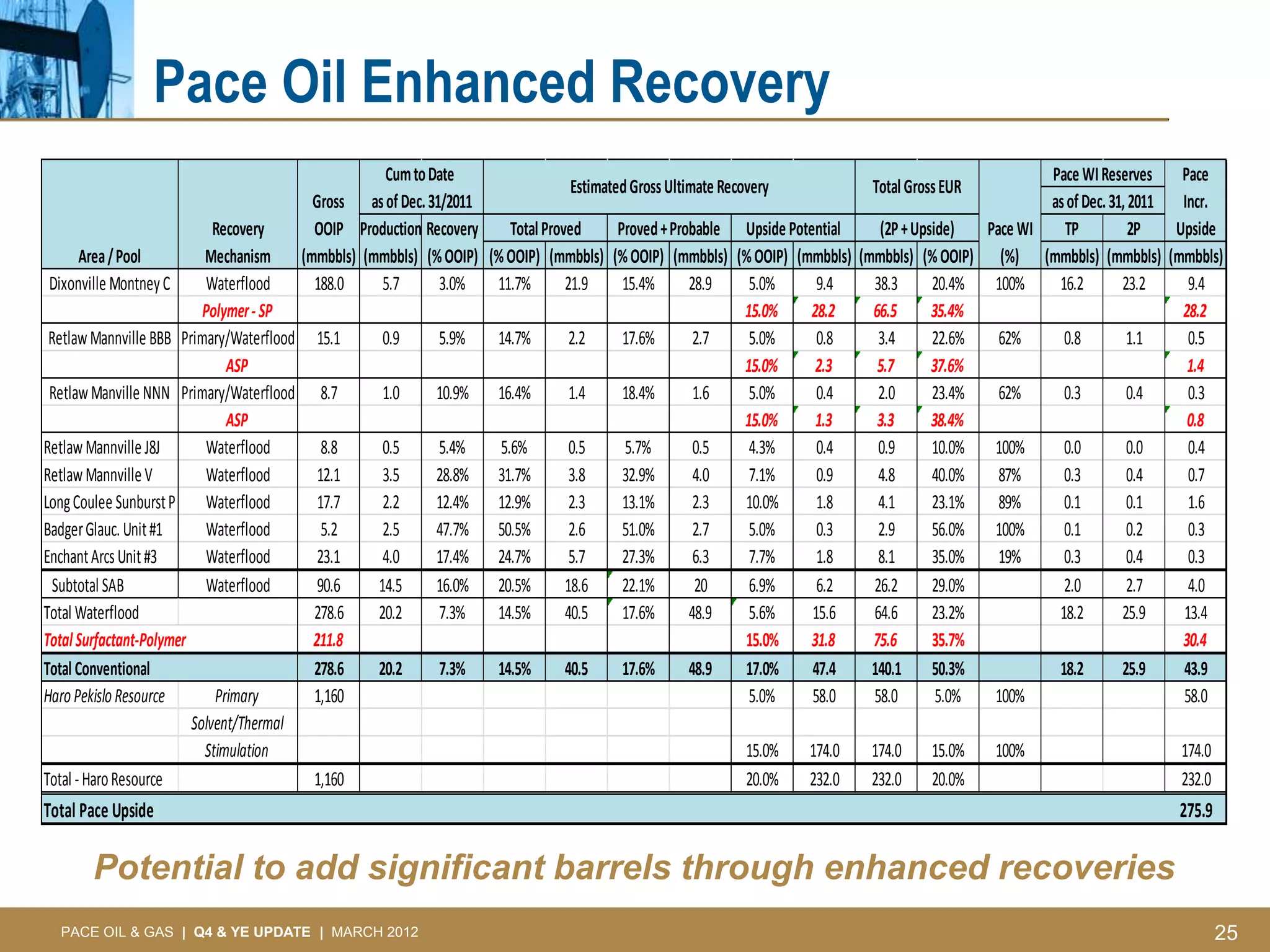 Pace Oil and Gas Investor Presentation | PDF