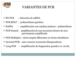 PCR en tiempo real | PPS