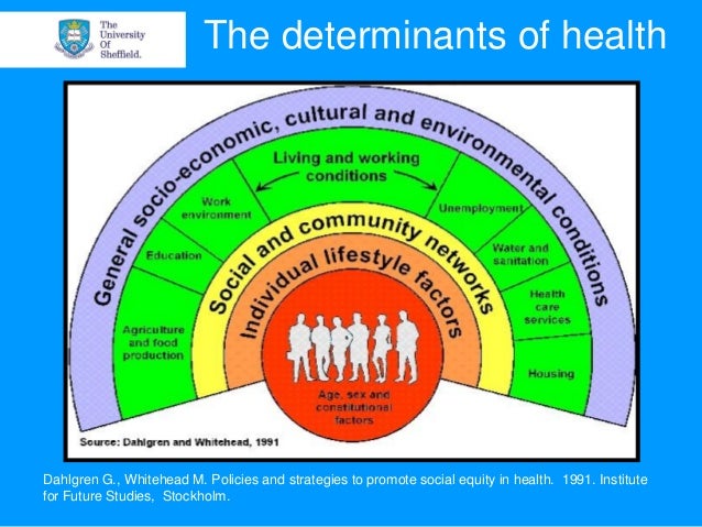 A methodological framework for developing the structure of Public Hea…