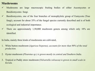 Edible Mushroom Fungi as Antioxidants | PPTX