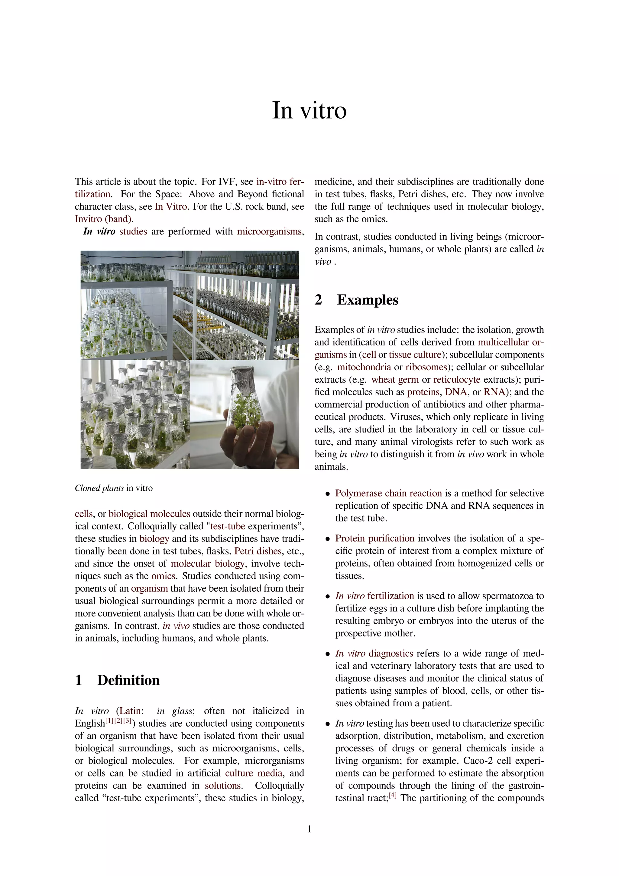 In Vitro | PDF