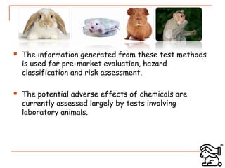 In vitro alternatives for skin and eye irritation studies | PPT