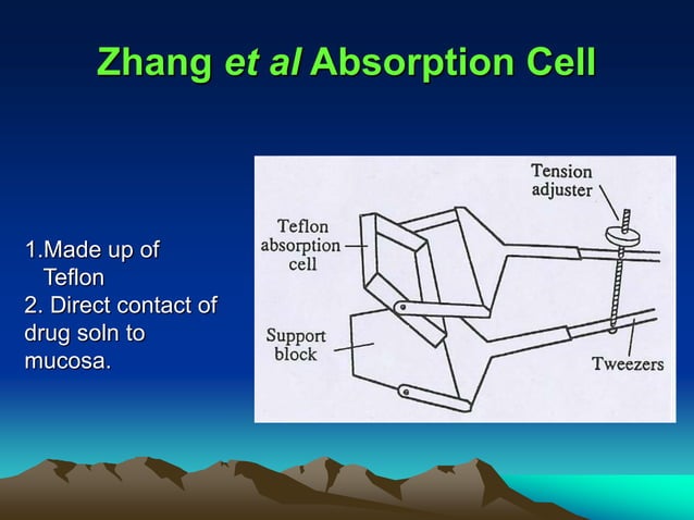 IN VITRO AND IN VIVO METHODS FOR BUCCAL ABSORPTION | PPT | Ear, Nose ...