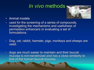 IN VITRO AND IN VIVO METHODS FOR BUCCAL ABSORPTION | PPT