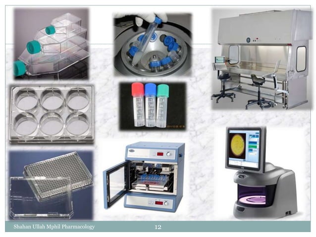 Invitro antiviral assay against dengue virus | PPTX