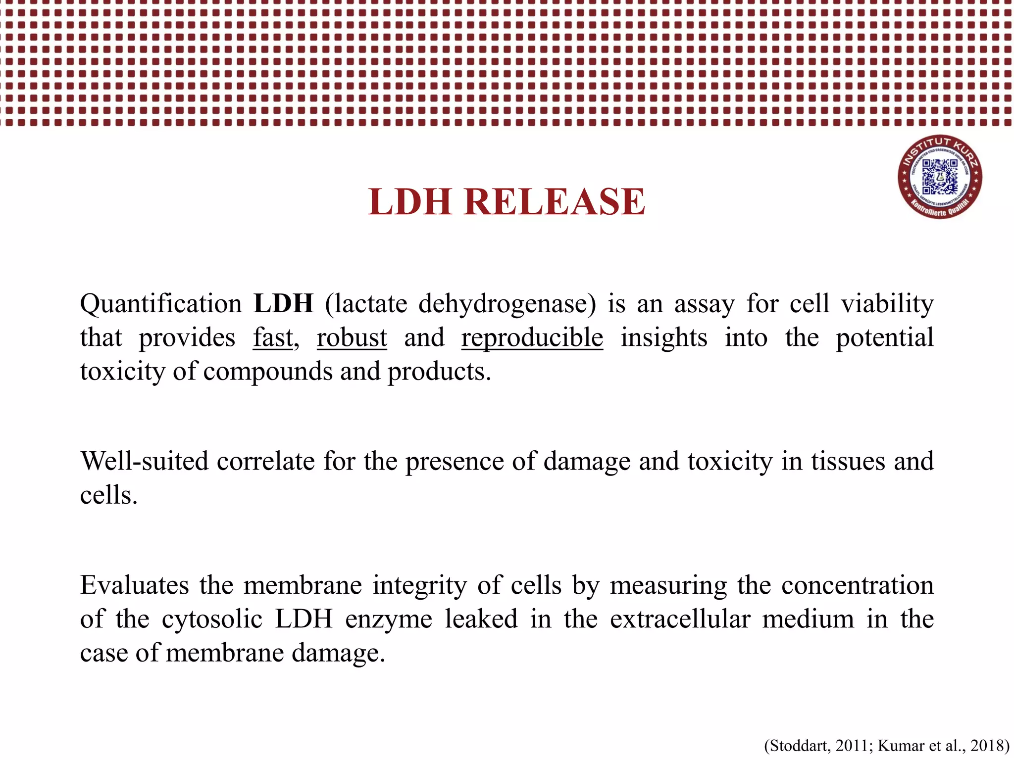 In Vitro Cell Tests for Functional Food | PDF