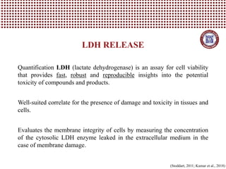 In Vitro Cell Tests for Functional Food | PDF