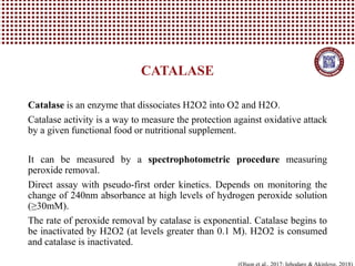 In Vitro Cell Tests for Functional Food | PDF