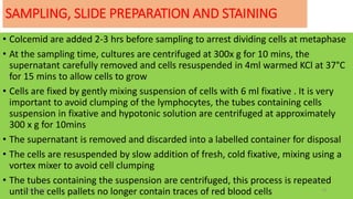 IN VITRO CHROMOSOMAL ABERRATION TESTS.pptx