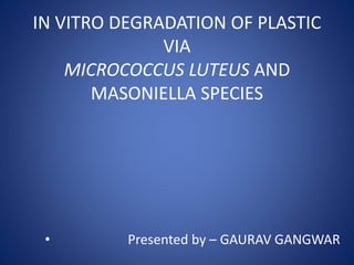 In vitro degradation of plastic | PPTX