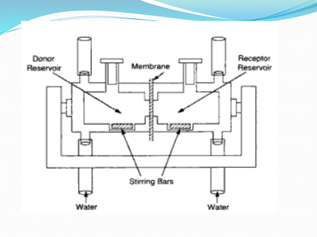 In vitro dissolution testing methods | PDF | Chemistry | Science