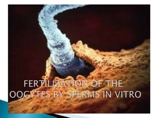In vitro fertilization and embryo transfer in humans | PPTX