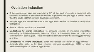 In vitro fertilization_Cattle Human.pdf