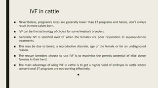 In vitro fertilization_Cattle Human.pdf
