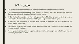 In vitro fertilization_Cattle Human.pdf