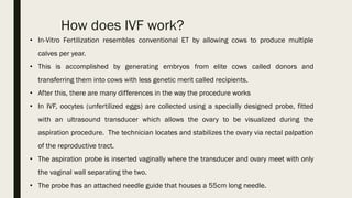 In vitro fertilization_Cattle Human.pdf