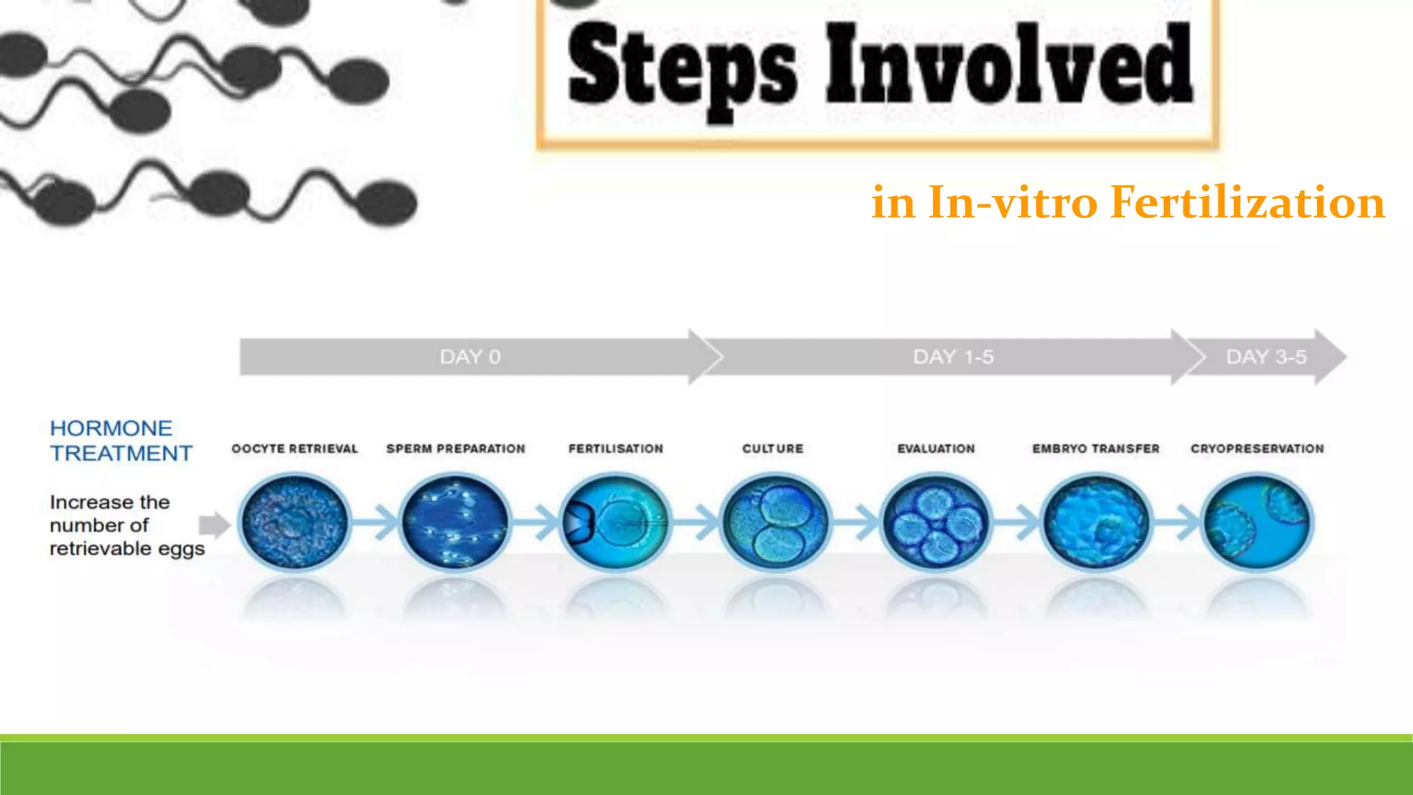 Invitro fertilization in humans | PPTX