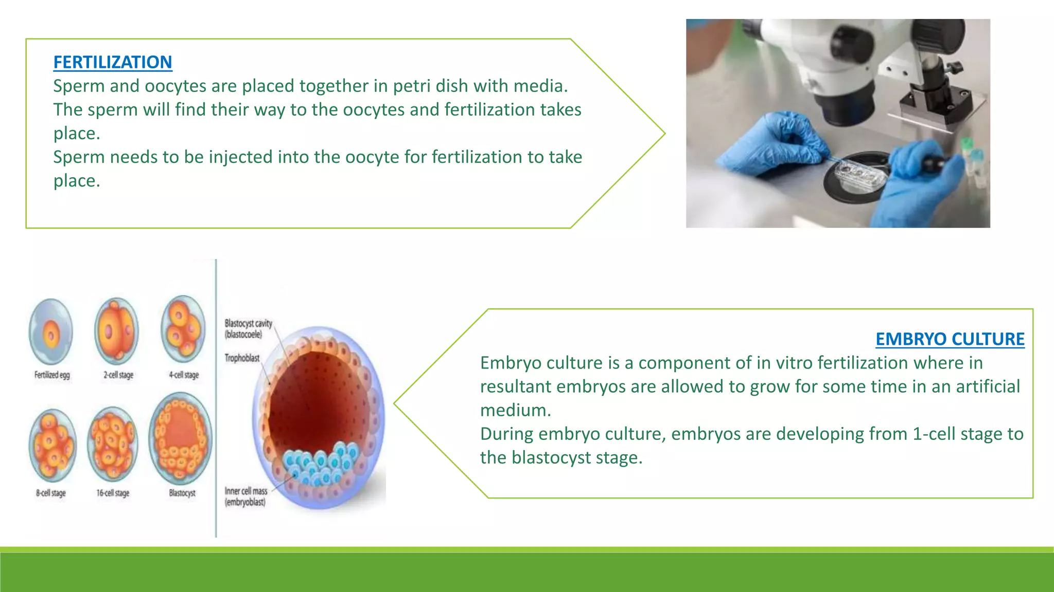 Invitro fertilization in humans | PPTX
