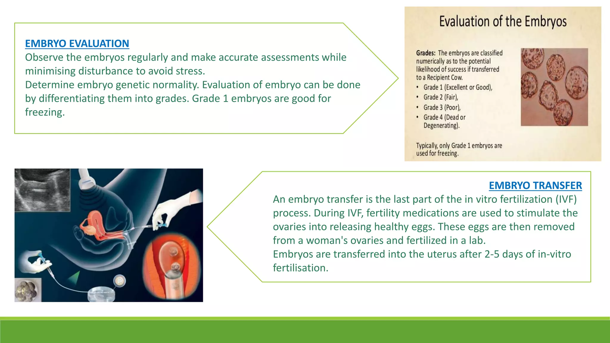 Invitro fertilization in humans | PPTX