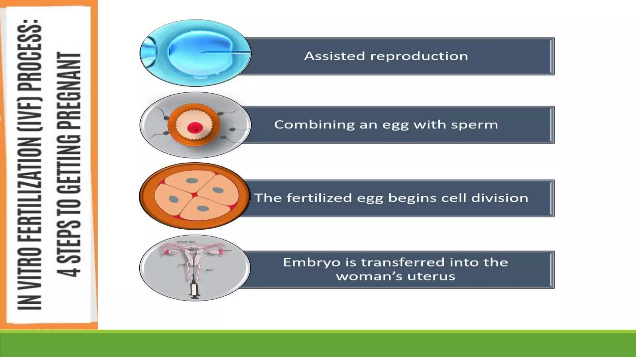 Invitro fertilization in humans | PPTX
