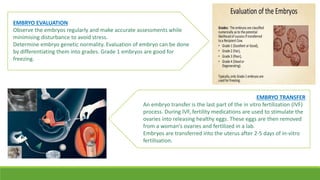 Invitro fertilization in humans | PPTX
