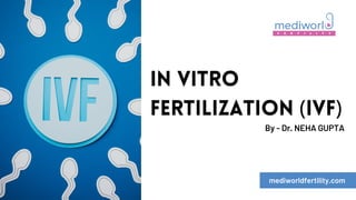 In Vitro Fertilization (IVF).pdf