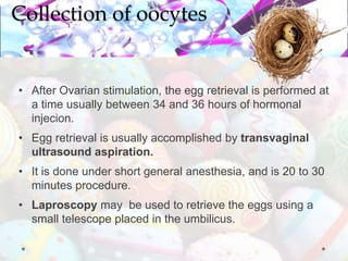 In vitro fertilization methods | PPTX