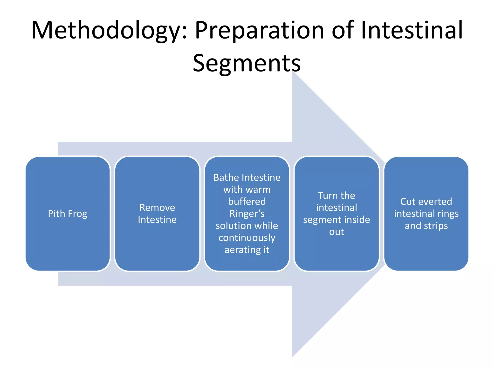 In vitro intestinal absorption | PPTX