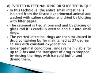 Invitro invivo insitu method | PDF