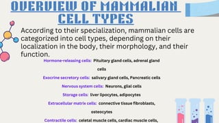 An Elaborative Study about In Vitro Mammalian Cell Culture.pdf