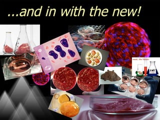 In vitro meat | PPS | Biological Sciences | Science