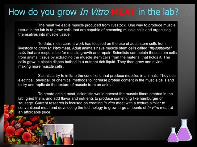 In vitro meat | PPS | Biological Sciences | Science