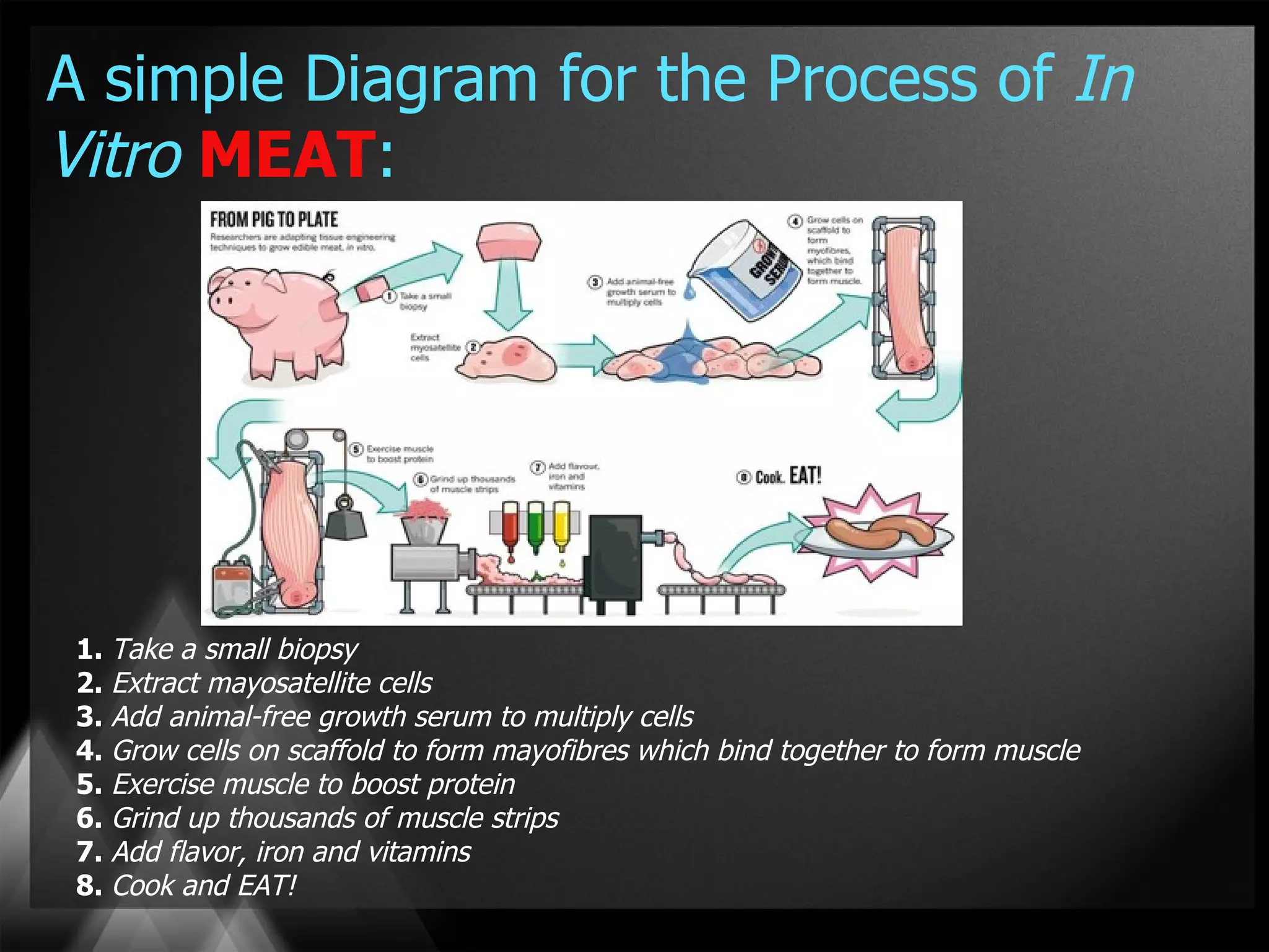 In vitro meat | PPS