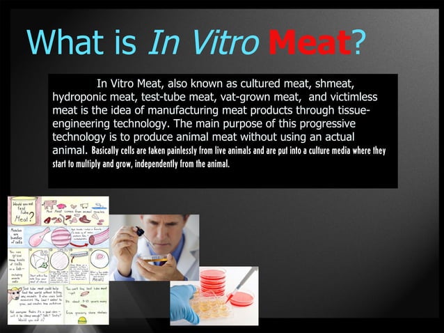In vitro meat | PPT