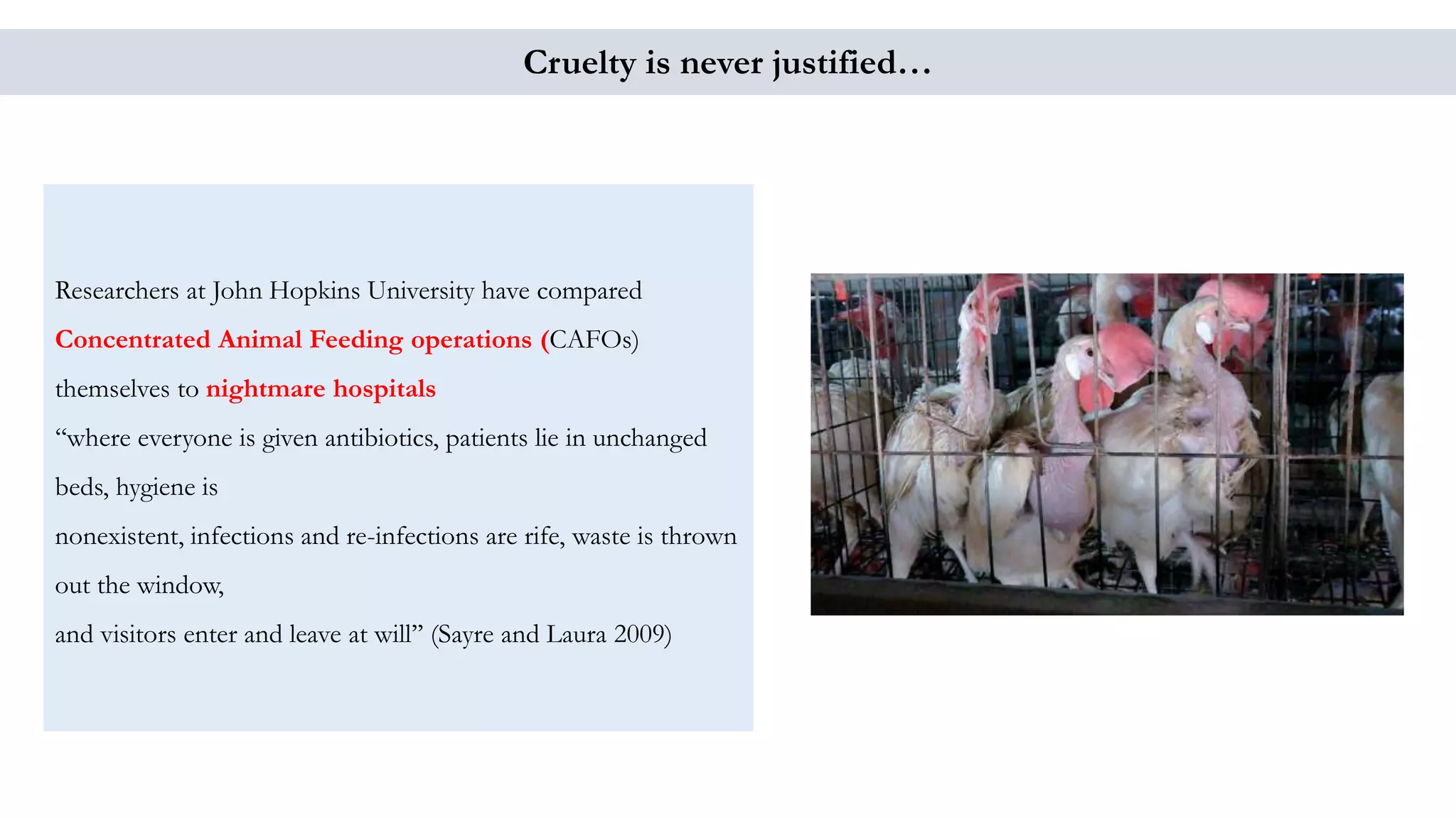 In vitro meat | PPTX