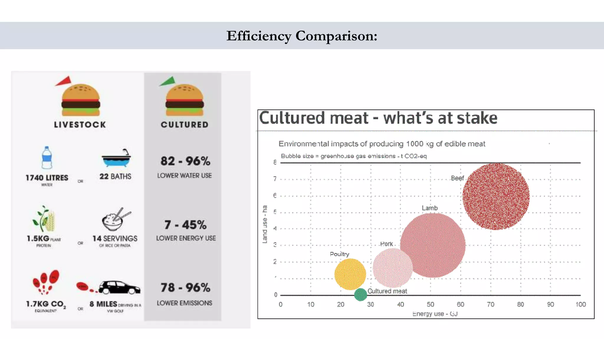 In vitro meat | PPTX