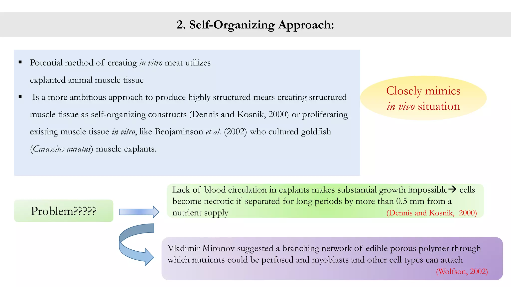 In vitro meat | PPTX