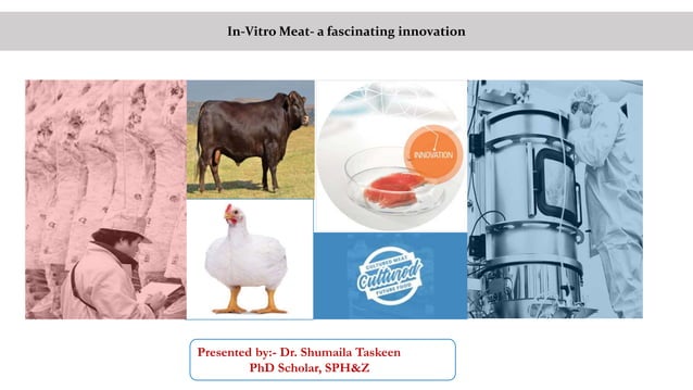 In vitro meat | PPTX | Agriculture | Industries