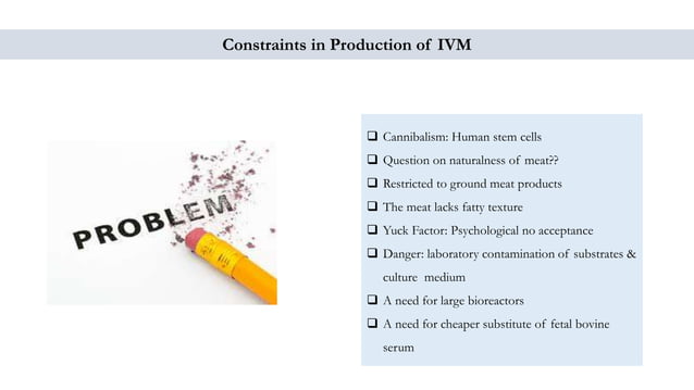 In vitro meat | PPTX | Agriculture | Industries