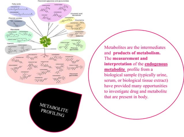In vitro metabolite profiling | PPTX
