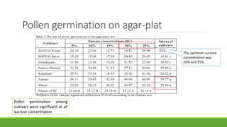 In vitro pollen germination in citrus | PPTX