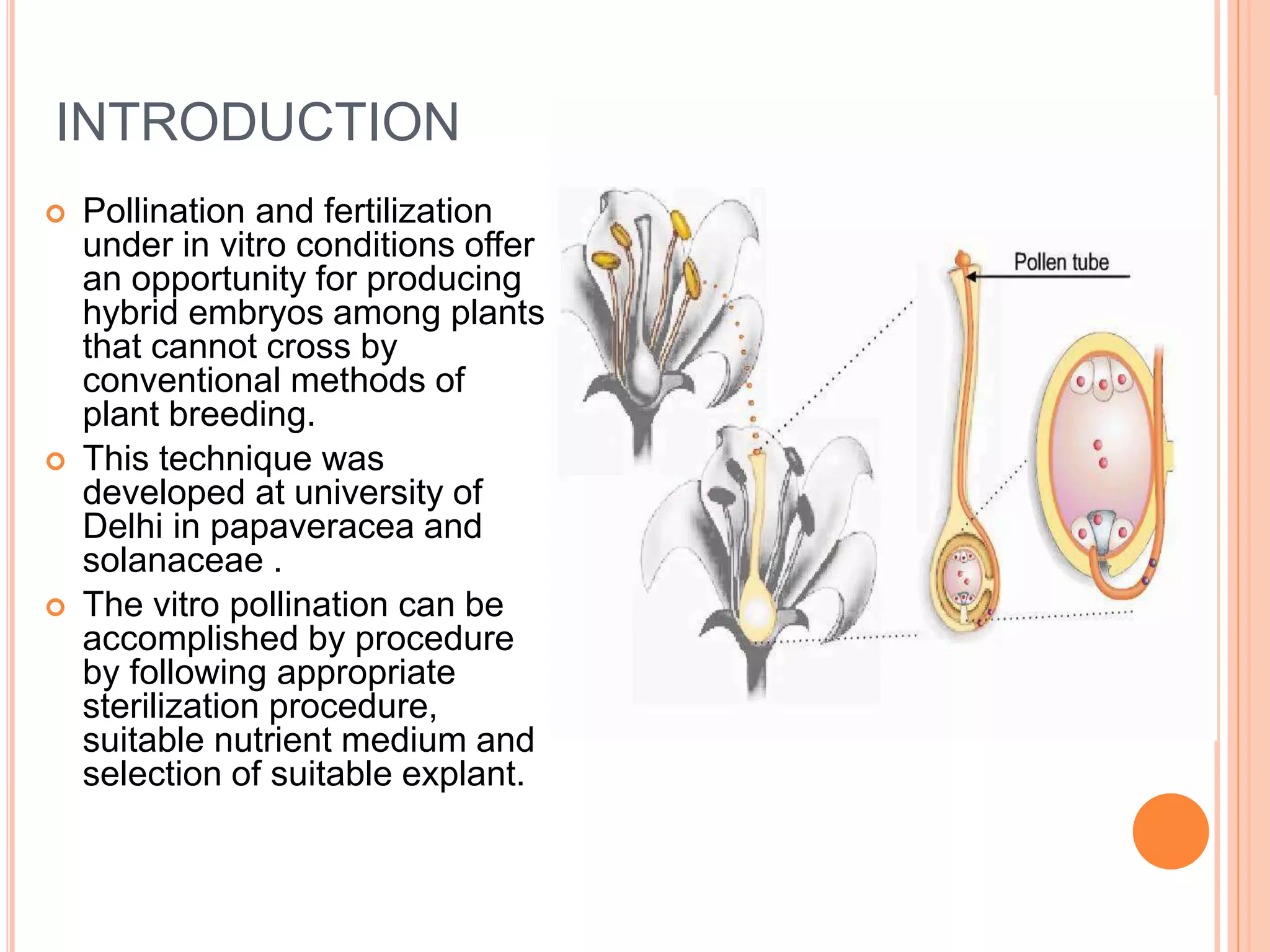 Invitro pollination and artifical seed | PPTX