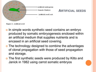 Invitro pollination and artifical seed | PPTX