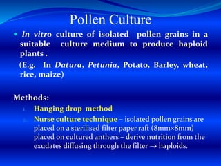 In vitro Production of Haploid Plants by Anther & Pollen Cultures SMG | PPT