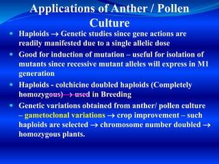 In vitro Production of Haploid Plants by Anther & Pollen Cultures SMG | PPT