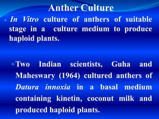 In vitro Production of Haploid Plants by Anther & Pollen Cultures SMG | PPT
