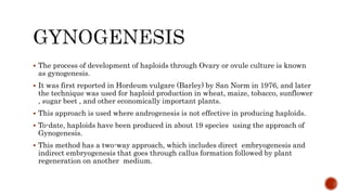 invitro production of haploids.pptx