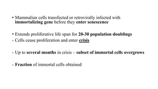 In vitro transformation of cells | PPTX