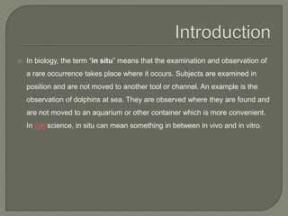 In vivo and in vitro studies | PPTX