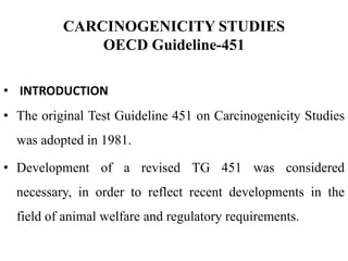 In vivo Carcinogenesity study PHARMACY.pptx